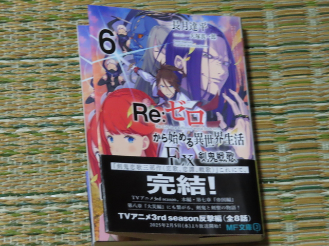 小説：Re:ゼロから始める異世界生活 Ex6 剣鬼戦歌: あああ